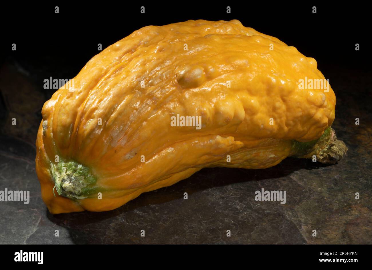Short and fat yellow squash on a beige colored tile Stock Photo - Alamy