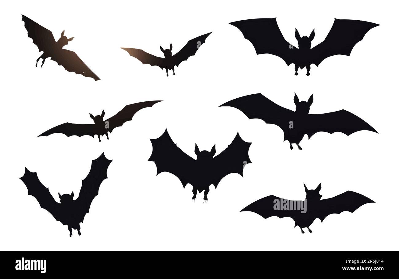 set vector illustration of magic black evil bat halloween concept ...