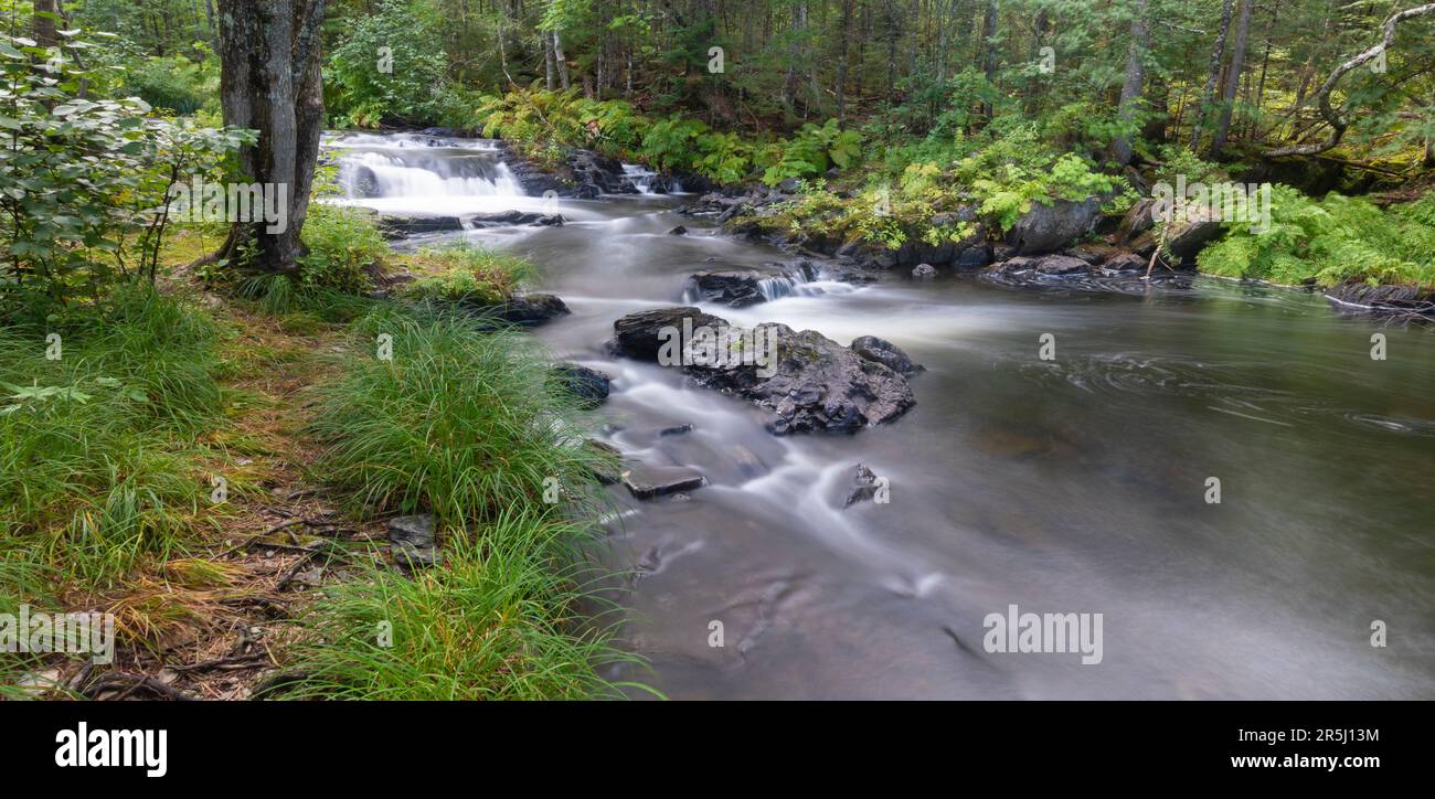 Fast running river with waterfalls in a forest in Maine Stock Photo - Alamy