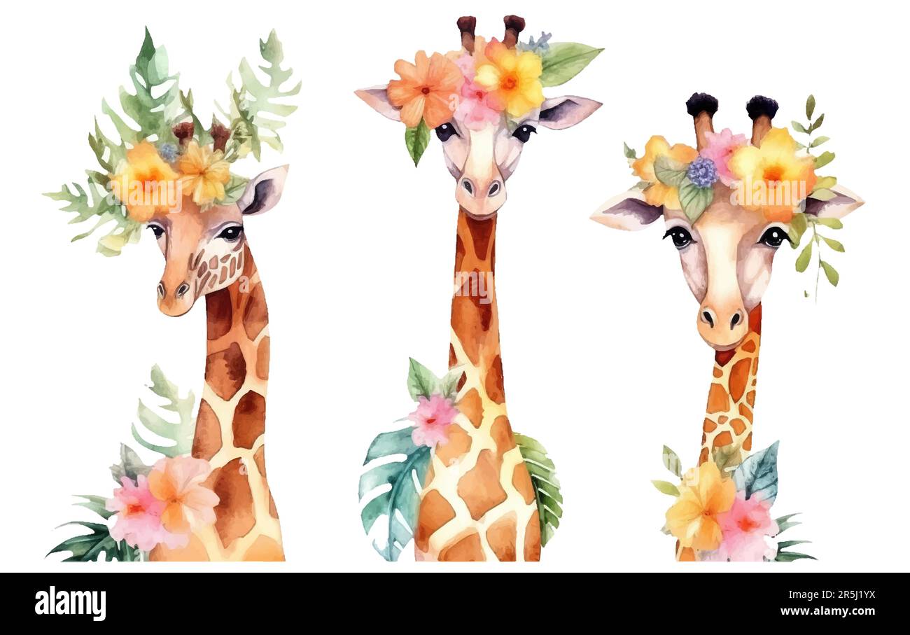 watercolor set illustration of cute giraffe isolated on white ...