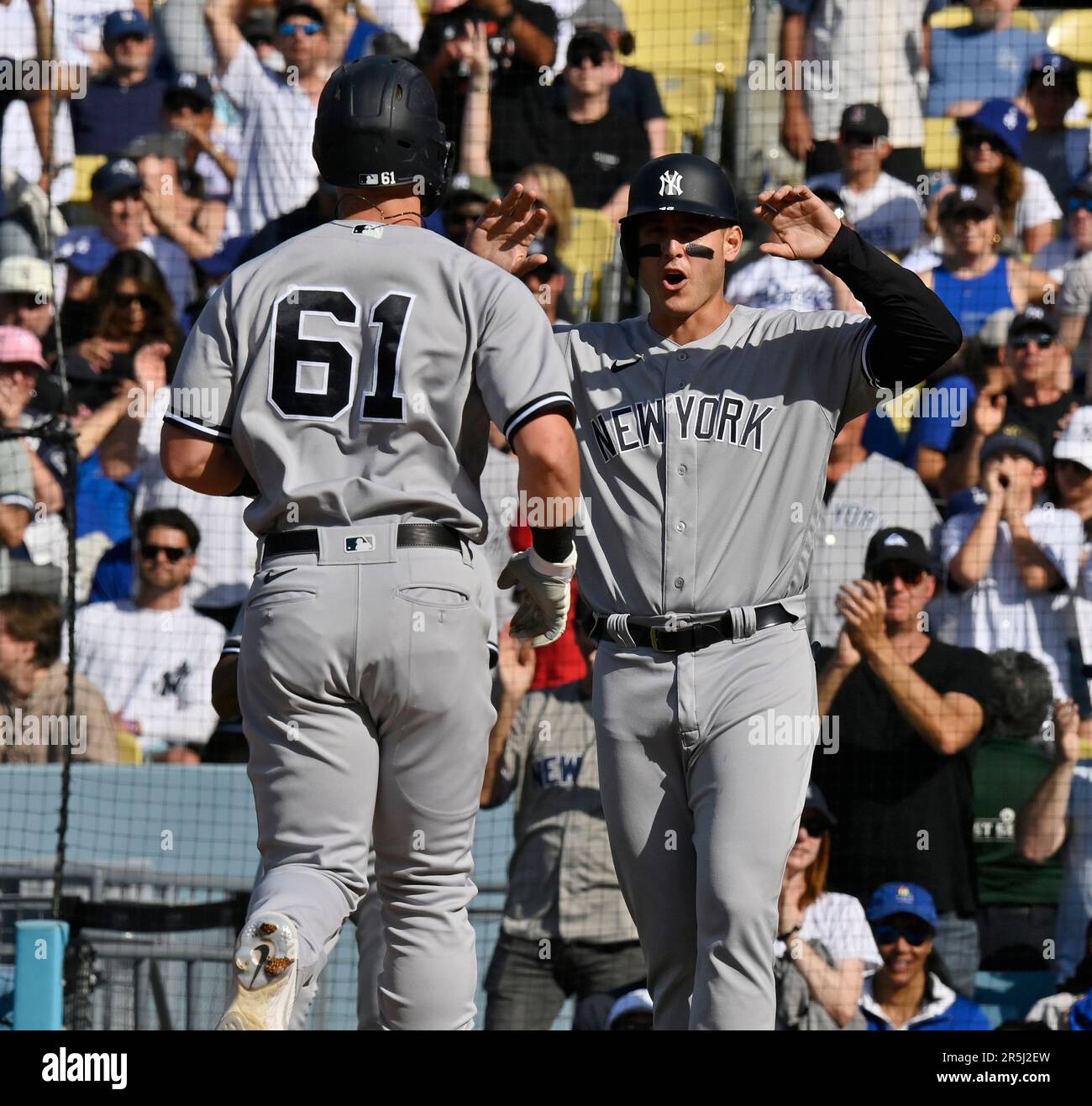 Los Angeles, United States. 03rd June, 2023. New York Yankees Jake ...