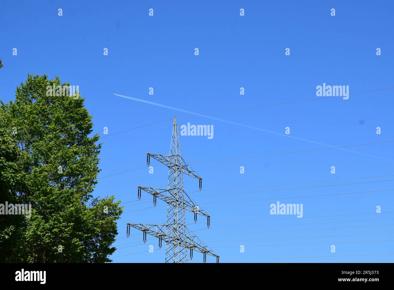 Power Grid next to a big tree Stock Photo - Alamy