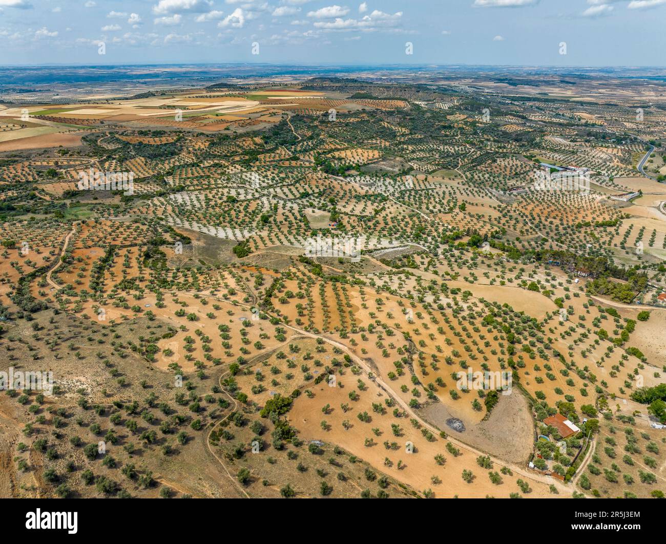 Aerial panoramic view of the olive fields in Chinchon, province of Madrid. cataloged as ...