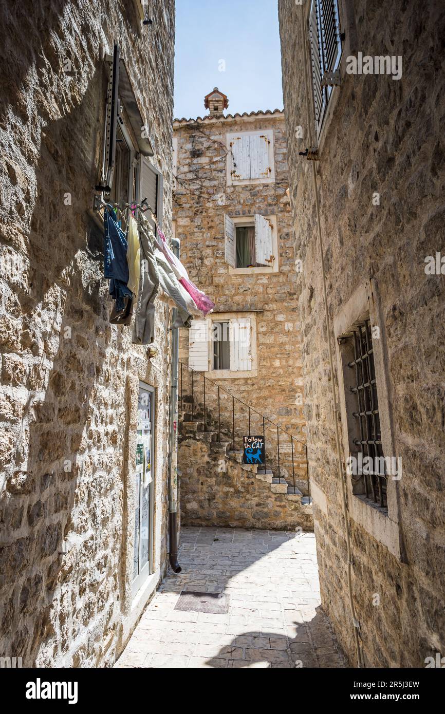 A follow the cat sign in the old town of Budva pictured in May 2023 at ...