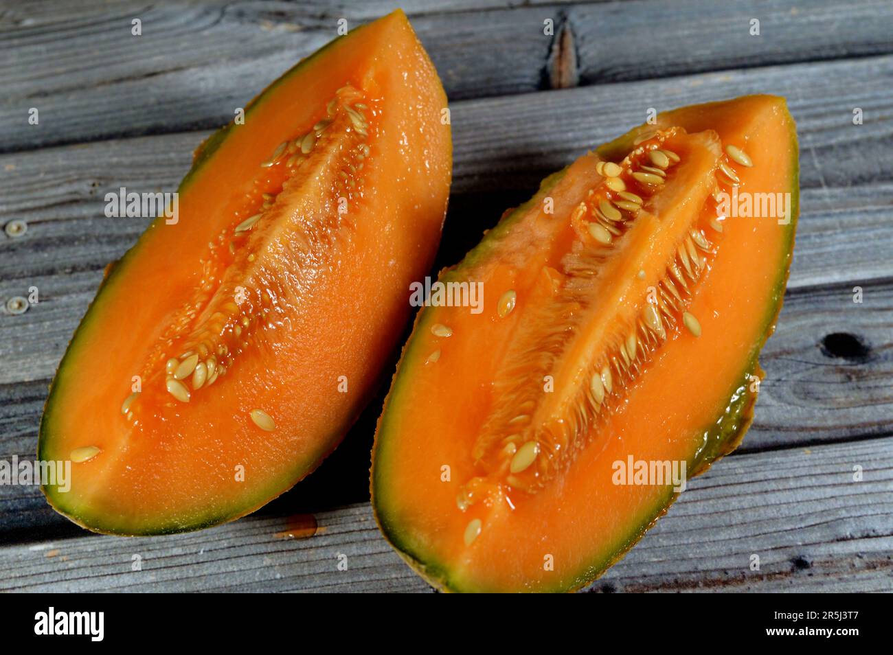 Muskmelon, Cucumis melo or melon, a species of Cucumis that has been ...