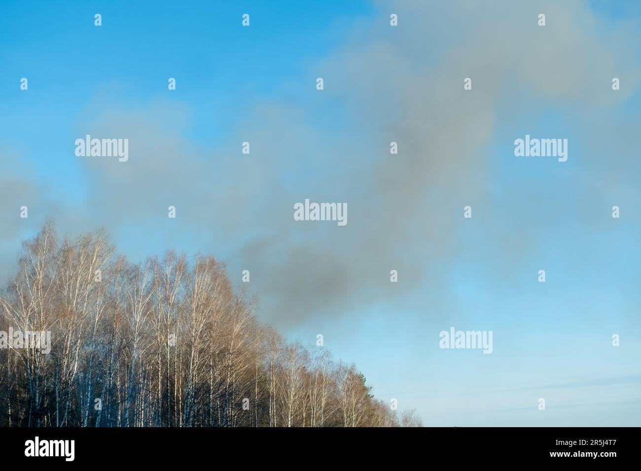 black smoke from the forest, view of the sky and treetops. Forest fires ...