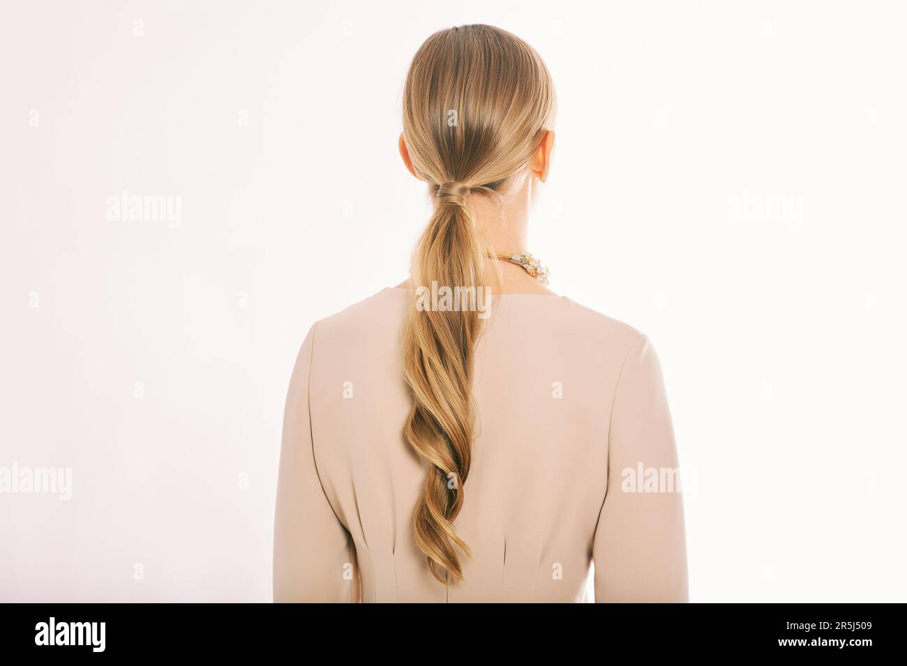 Beautiful hairstyle tail for wedding or formal party, back view ...
