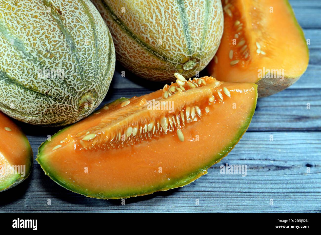 Muskmelon, Cucumis melo or melon, a species of Cucumis that has been ...