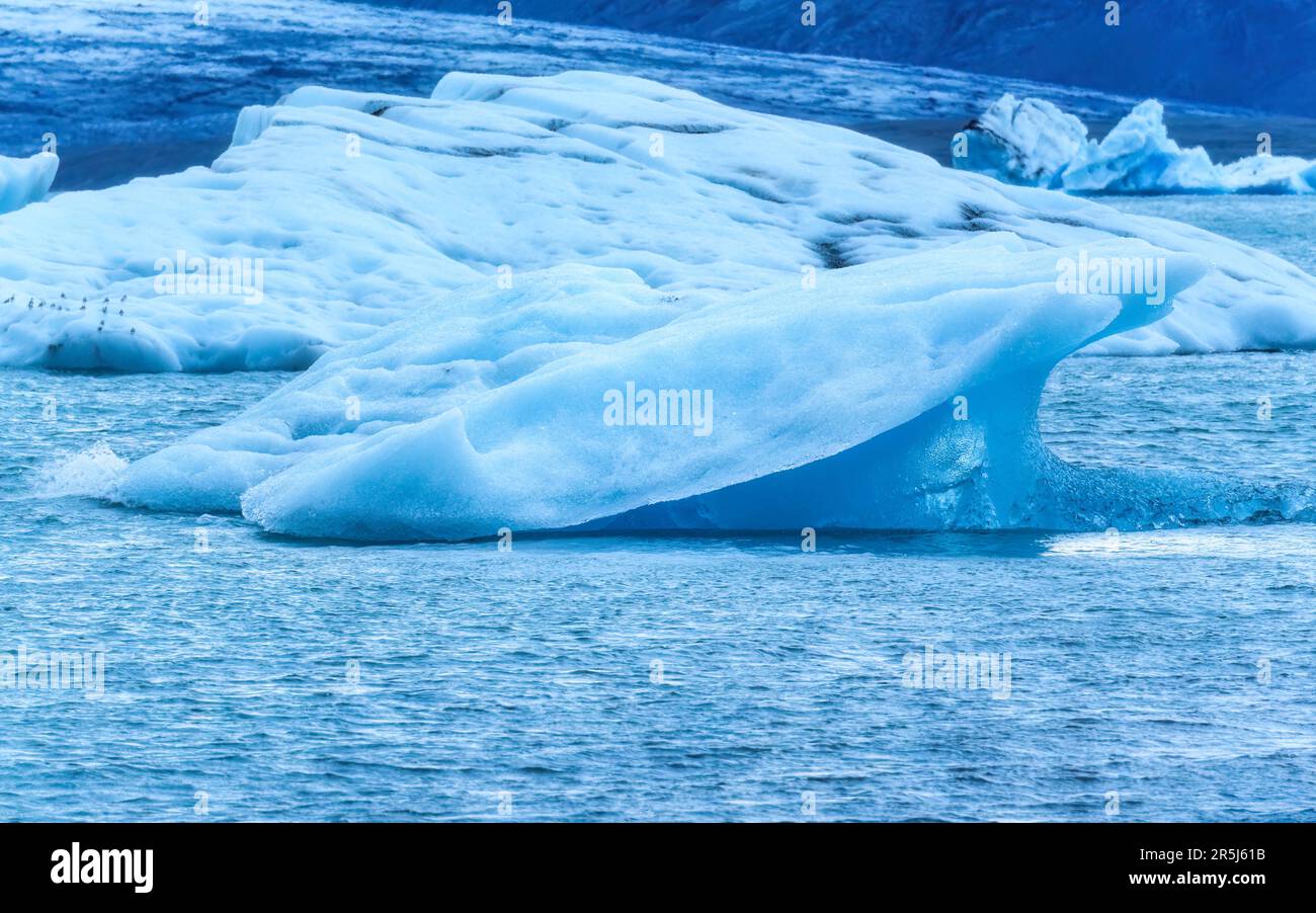 Beautiful natural blue iceberg floating and melting in Jokulsarlon ...
