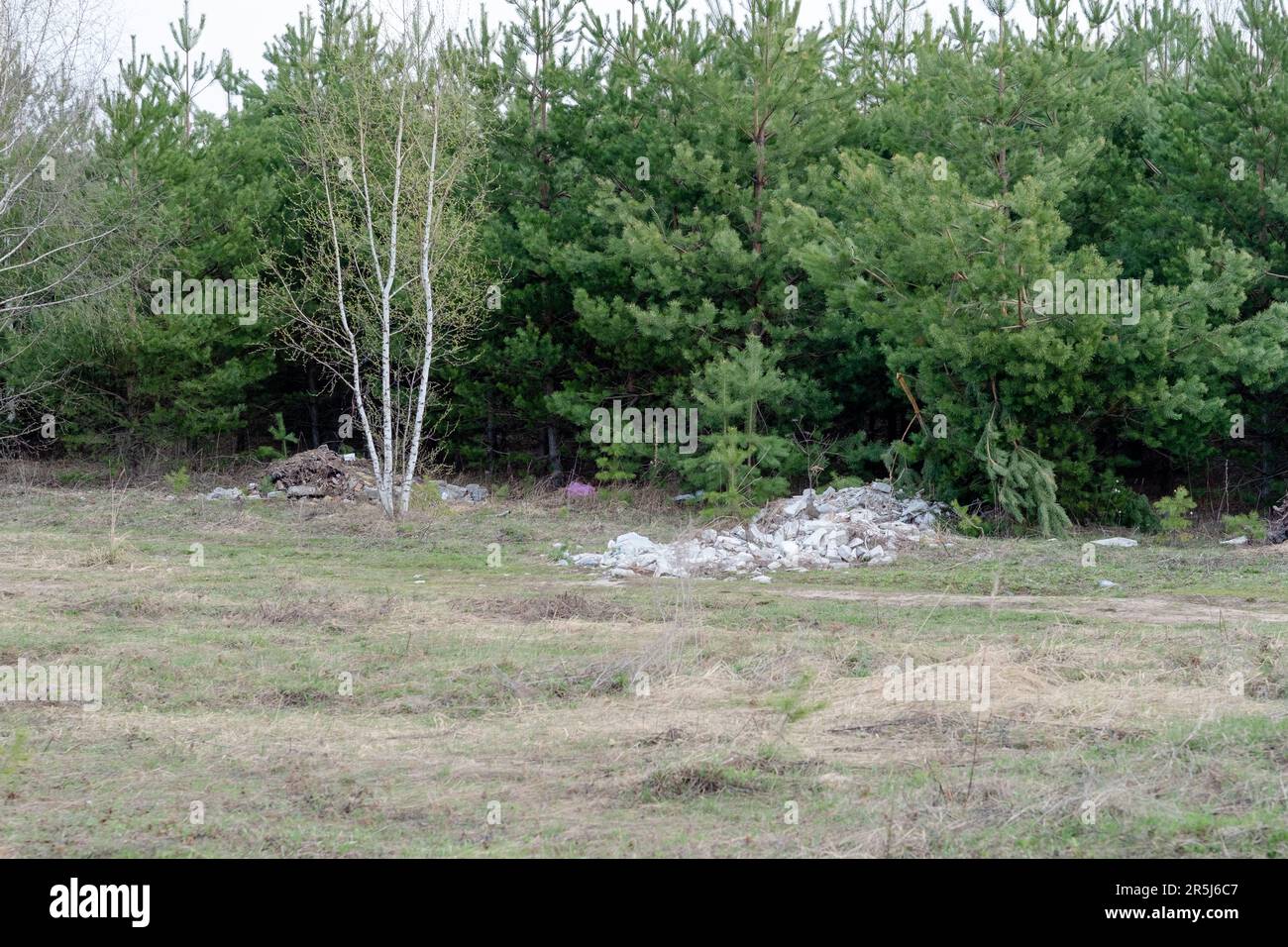 a large pile of garbage on the background of the forest. Environmental ...