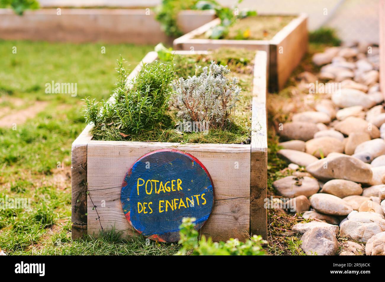 Wooden box with Rosemary, french sign Potager des enfants - children's ...