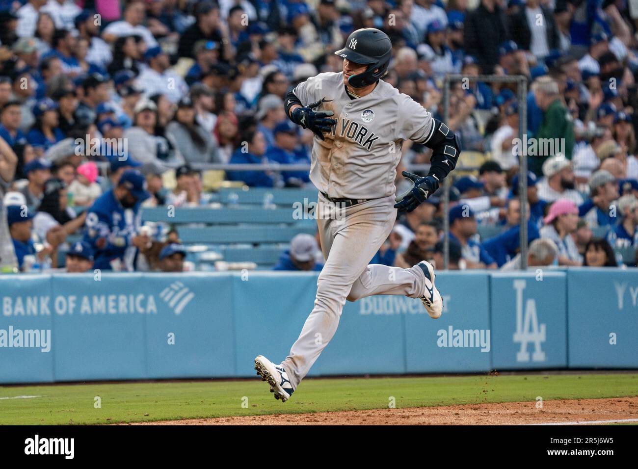 New York Yankees third baseman Josh Donaldson (28) celebrates after ...