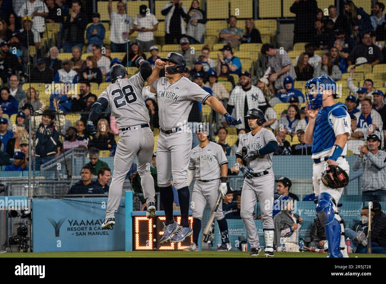 New York Yankees third baseman Josh Donaldson (28) and designated ... New York Yankees third baseman Josh Donaldson (28) and designated ...