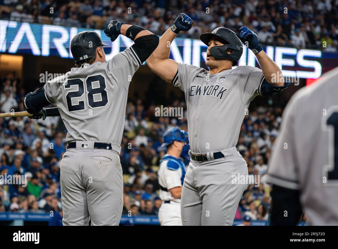 New York Yankees third baseman Josh Donaldson (28) and designated ...