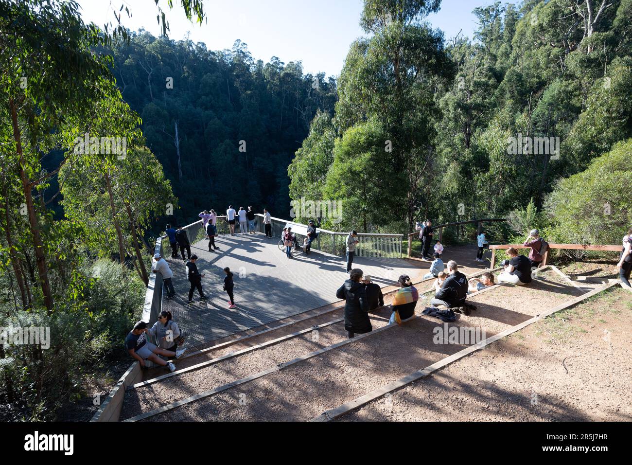 Masons Falls in Melbourne Australia Stock Photo - Alamy