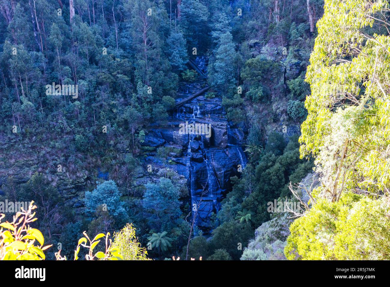 Masons Falls in Melbourne Australia Stock Photo - Alamy