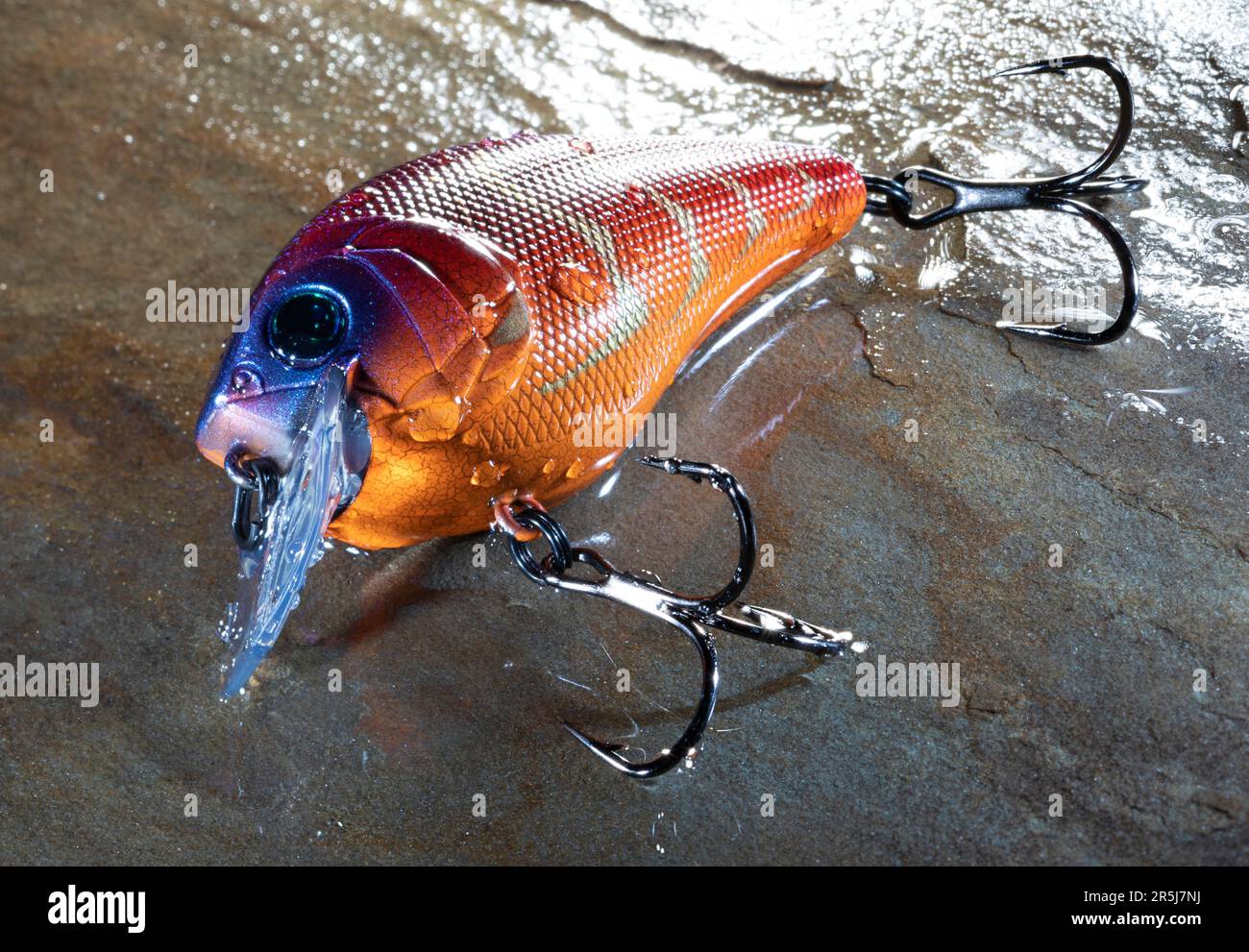 Plastic fishing lure that is on a wet rock Stock Photo - Alamy