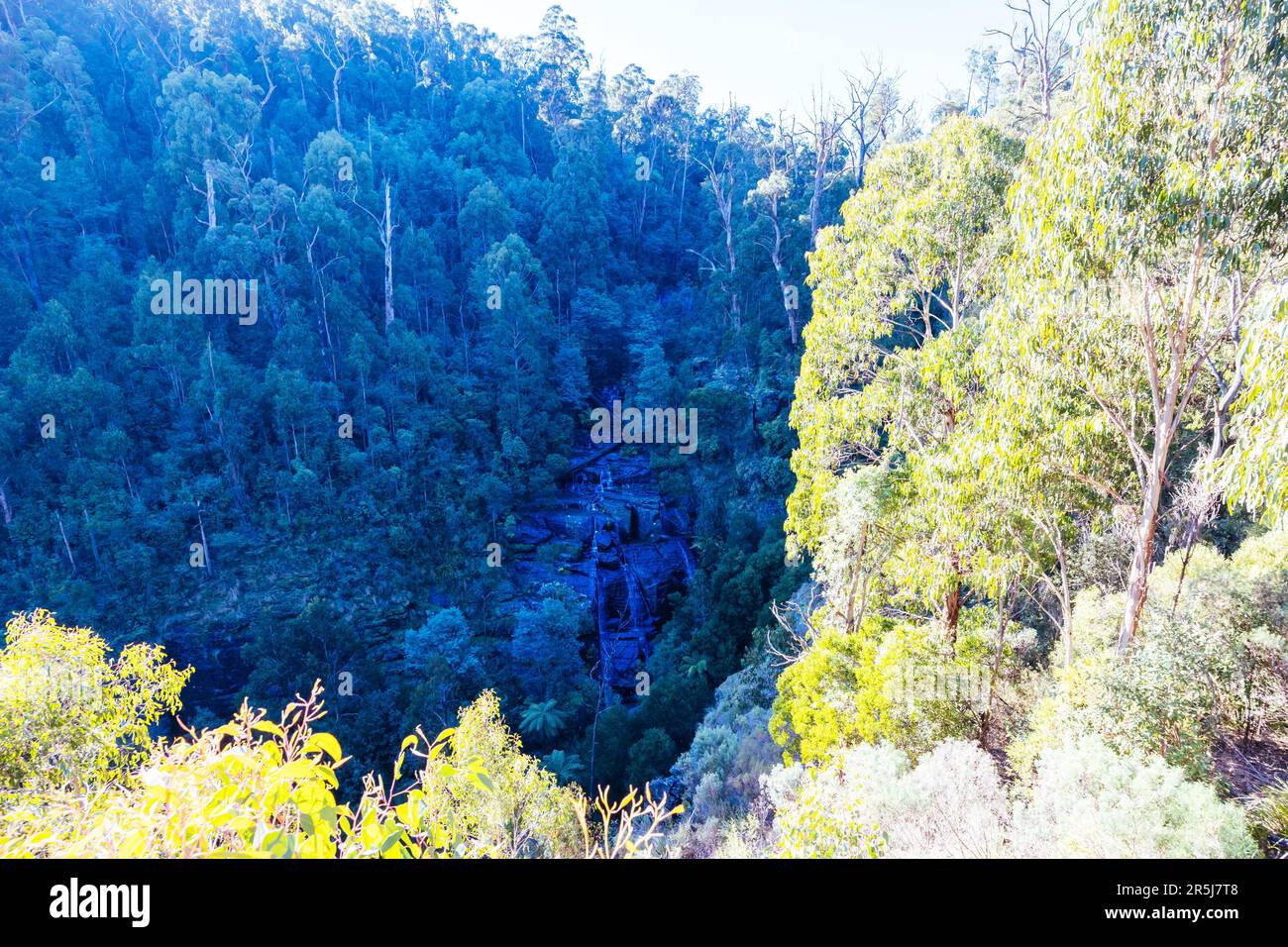 Masons Falls in Melbourne Australia Stock Photo - Alamy