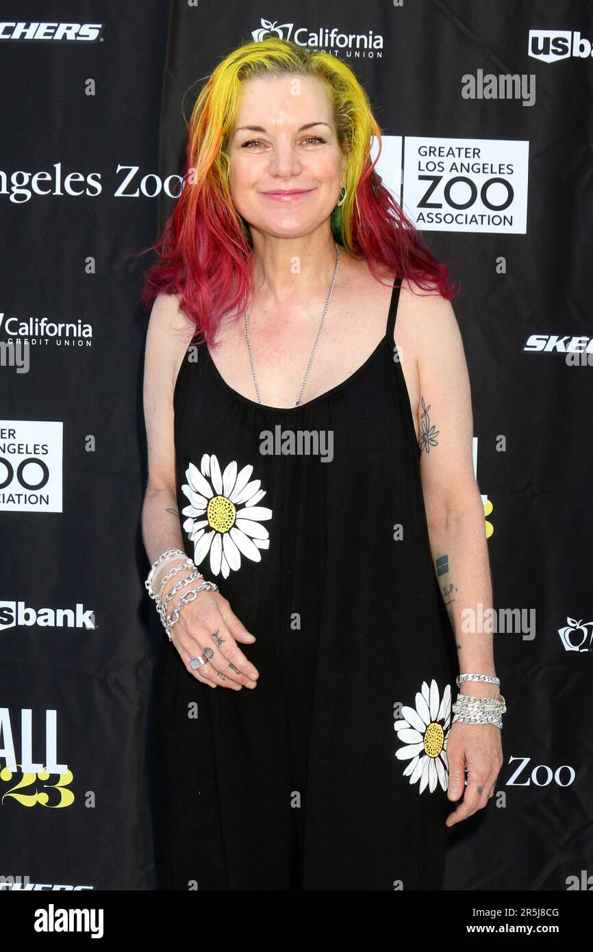 Pauley Perrette 2024