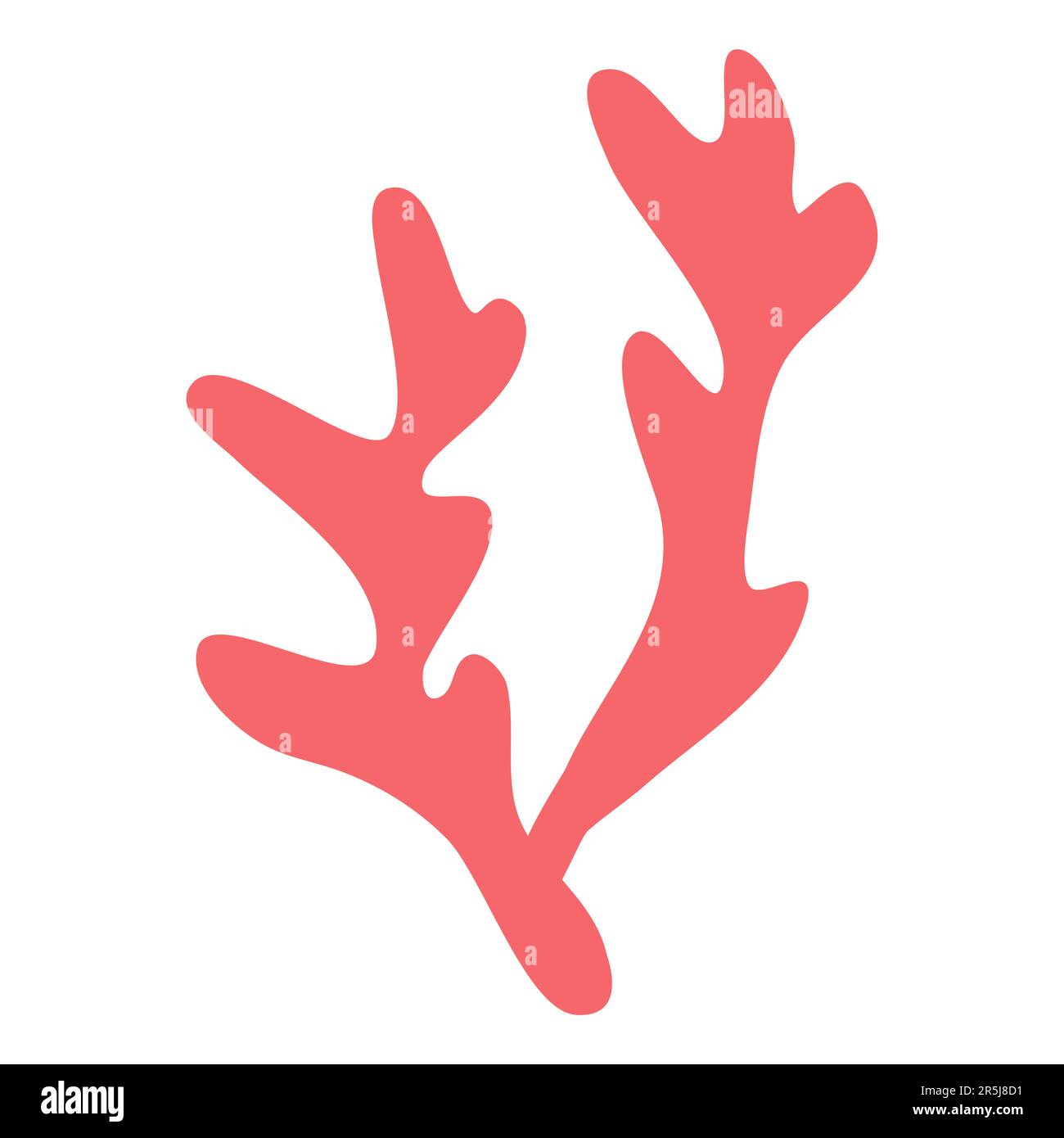 Red sea and aquarium water plant or seaweed, underwater planting ...