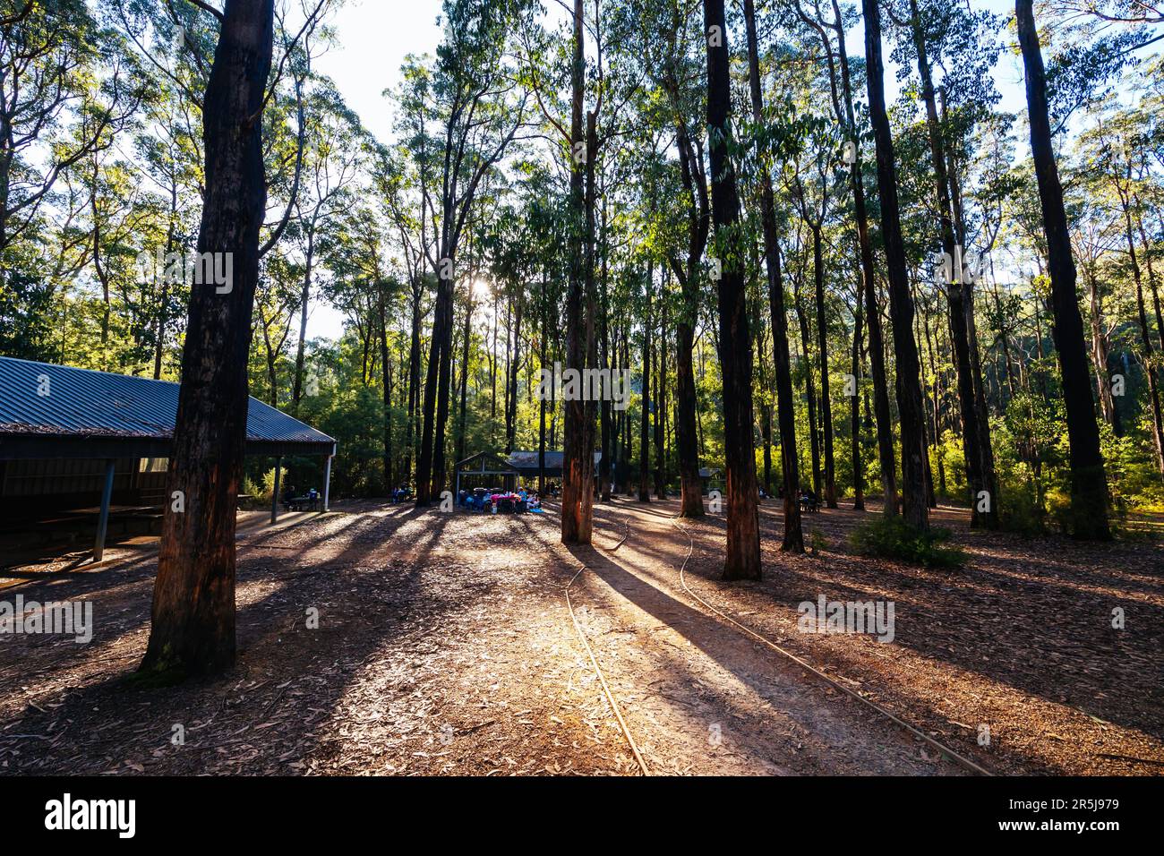 Masons Falls Picnic Area in Melbourne Australia Stock Photo - Alamy