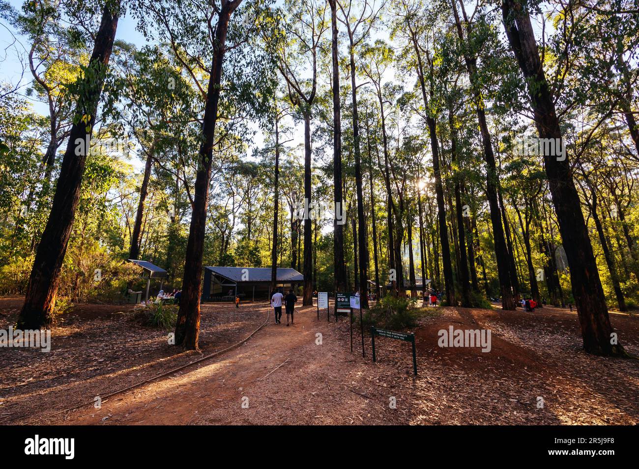 Masons Falls Picnic Area in Melbourne Australia Stock Photo - Alamy