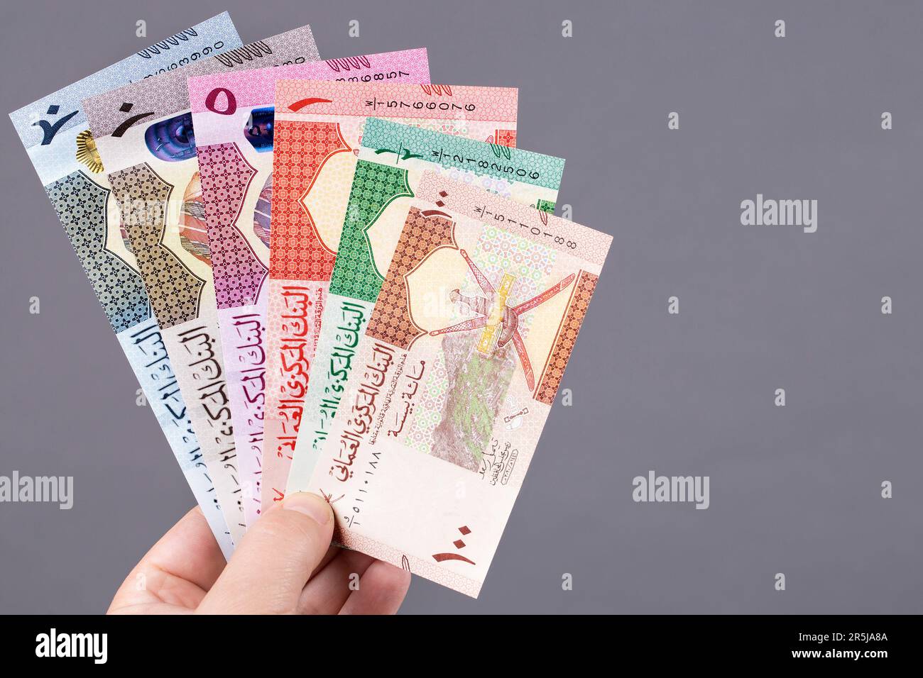 Omani money - rial in the hand on a gray background Stock Photo - Alamy