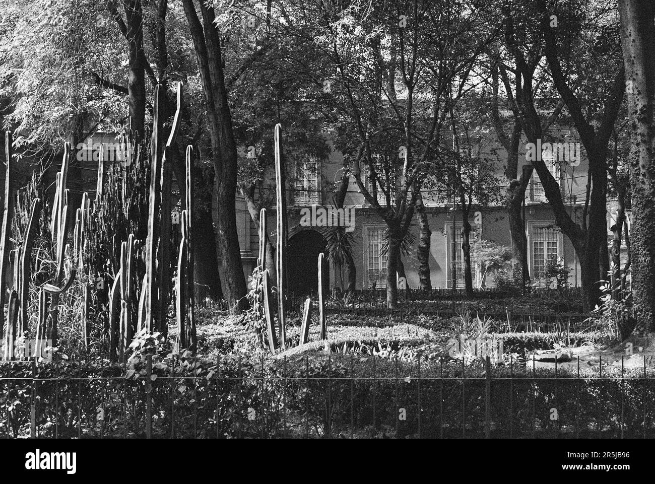 Building Along Gardens of Plaza Rio De Janeiro in Mexico City, Mexico ...