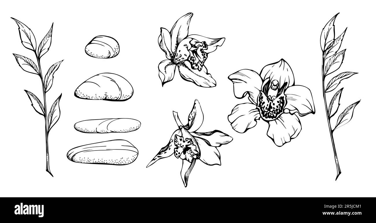 Stone Wall Drawing Clipart Flower