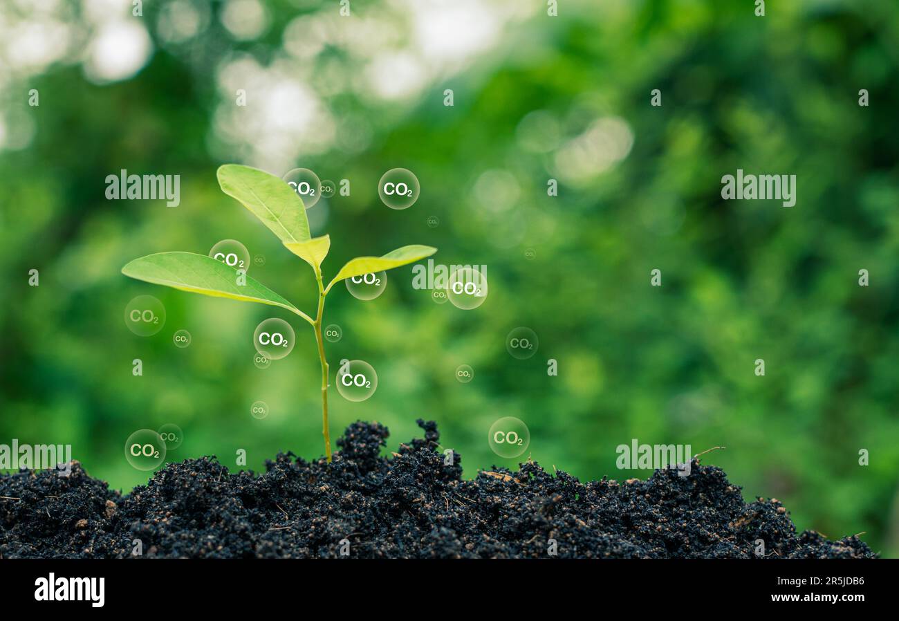 CO2 emission reduction concept, clean and friendly environment without ...