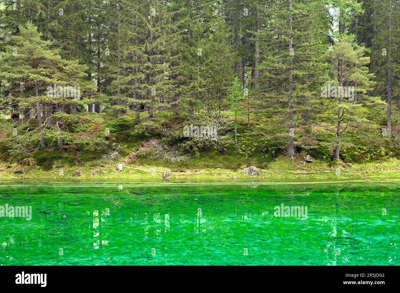 Beautiful emerald green clear water,The Green Lake in Styria,Austria ...