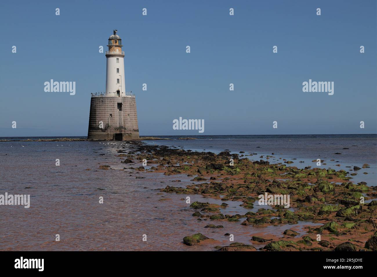 Rattray Head lighthouse at low tide Stock Photo - Alamy