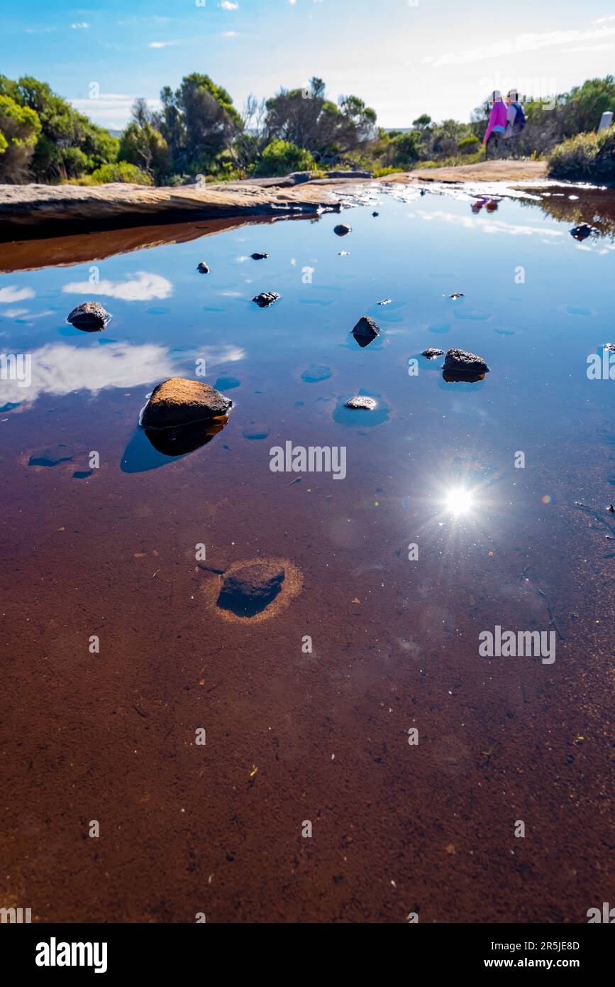 People walking past a reflective puddle along the Coast Walk near ...