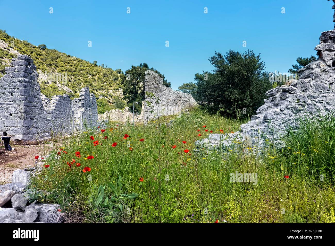 The ruins of Olympos, Lycian Way, Olympos Beydagları National Park ...