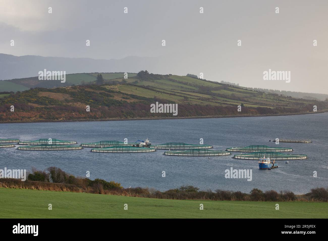 Tuna farm aquaculture hi-res stock photography and images - Alamy