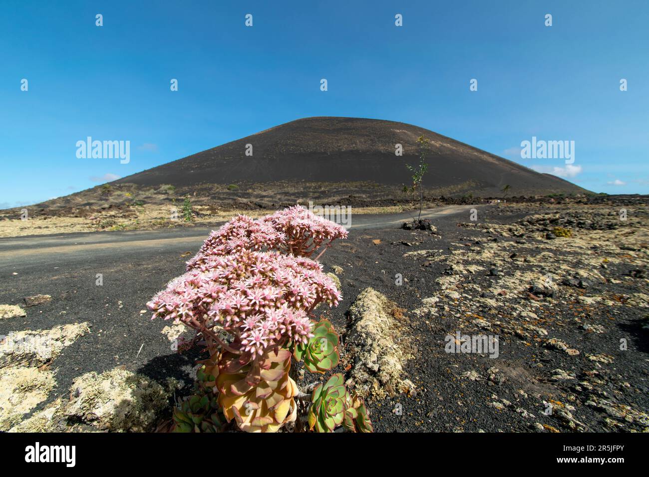 Lanzarote desert mountains hi-res stock photography and images - Alamy
