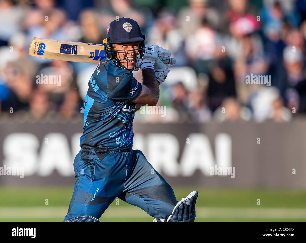 Falcons hi-res stock photography and images - Alamy