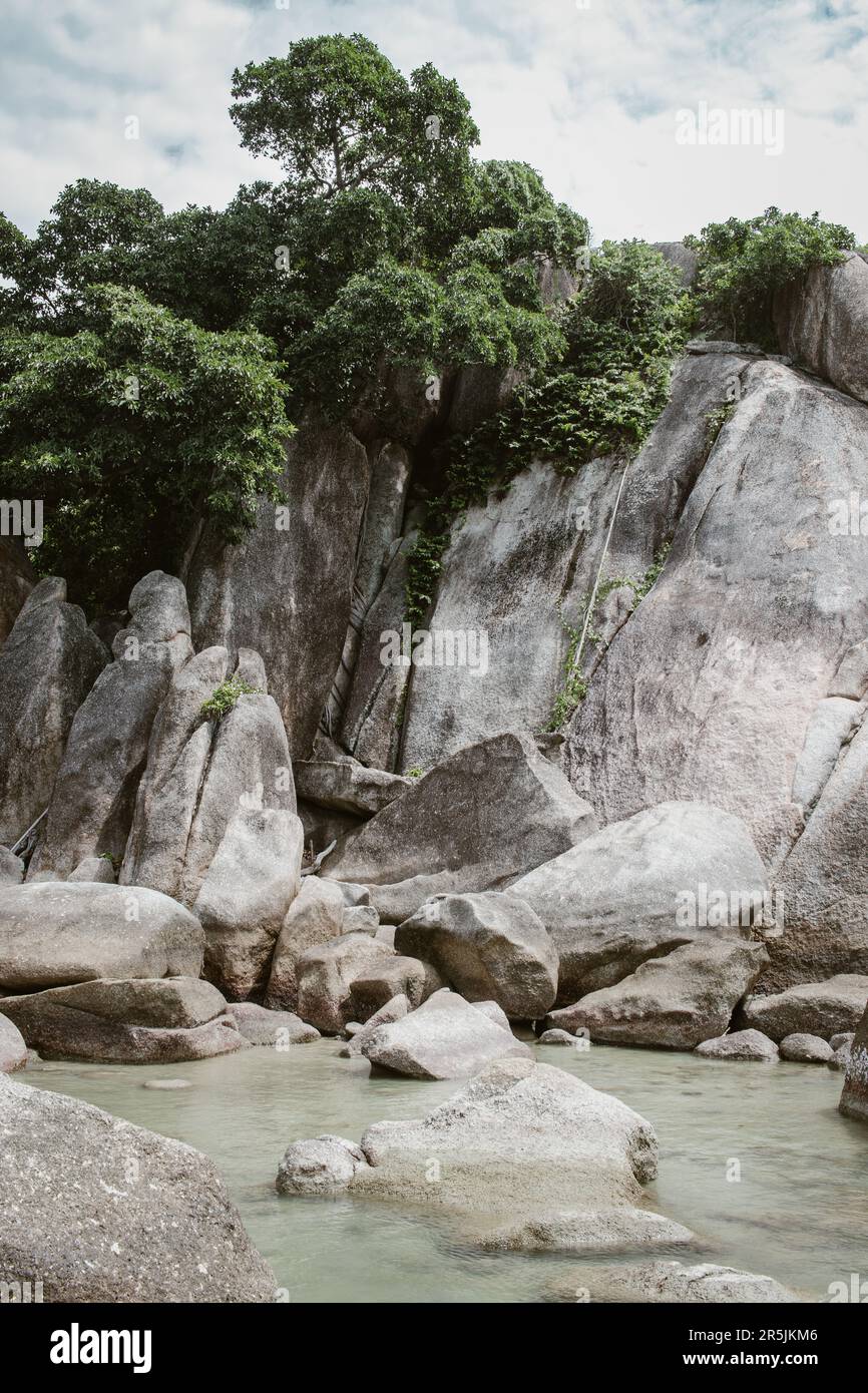 Cliffside vegetation hi-res stock photography and images - Alamy