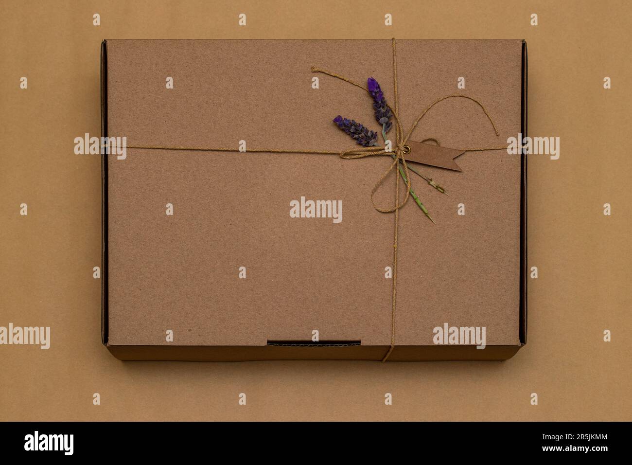 mockup of a blank cardboard box tied with string and decorated with ...
