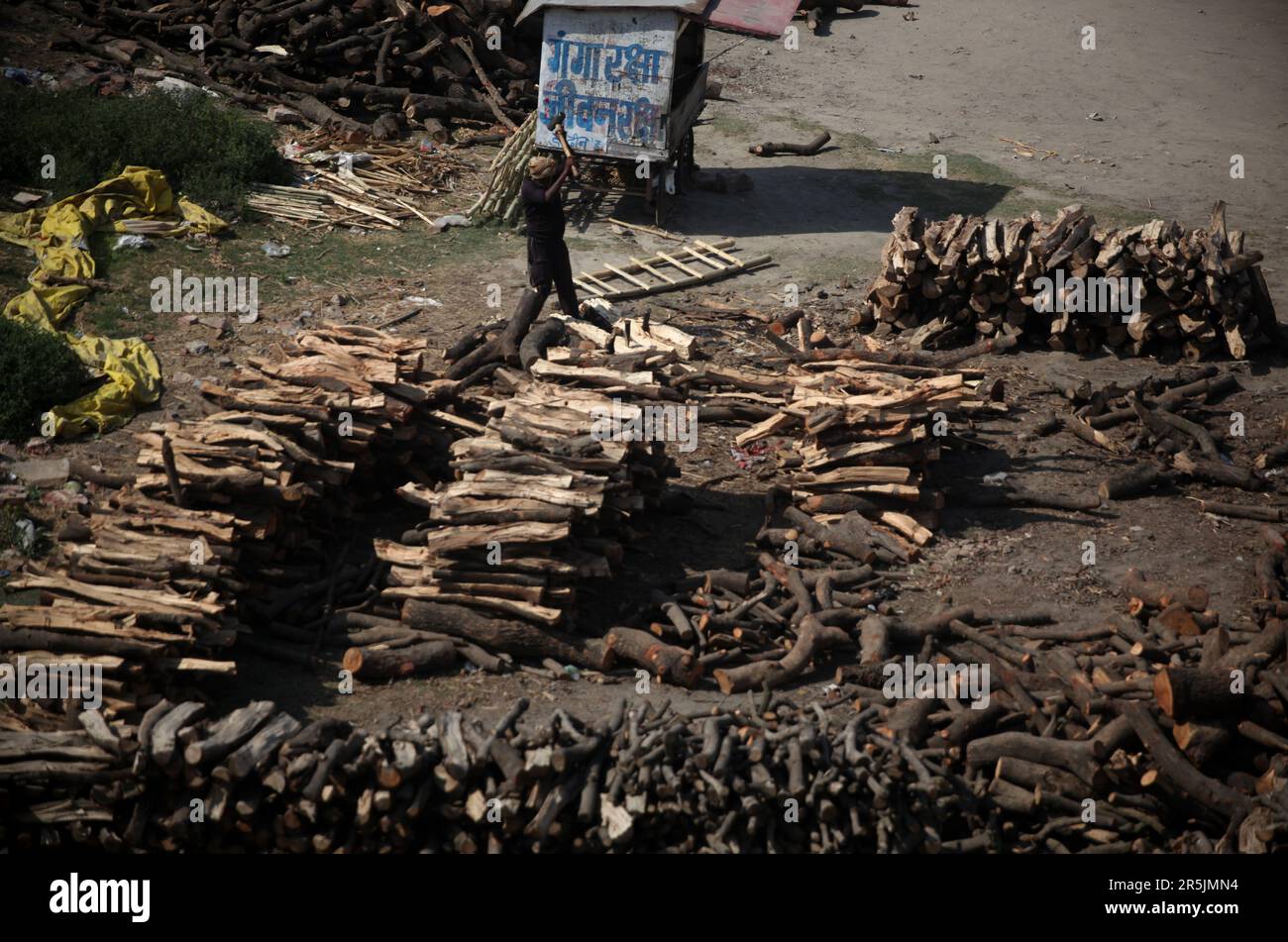 Prayagraj, India. 04th June, 2023. An Indian labourer chops wood log ...