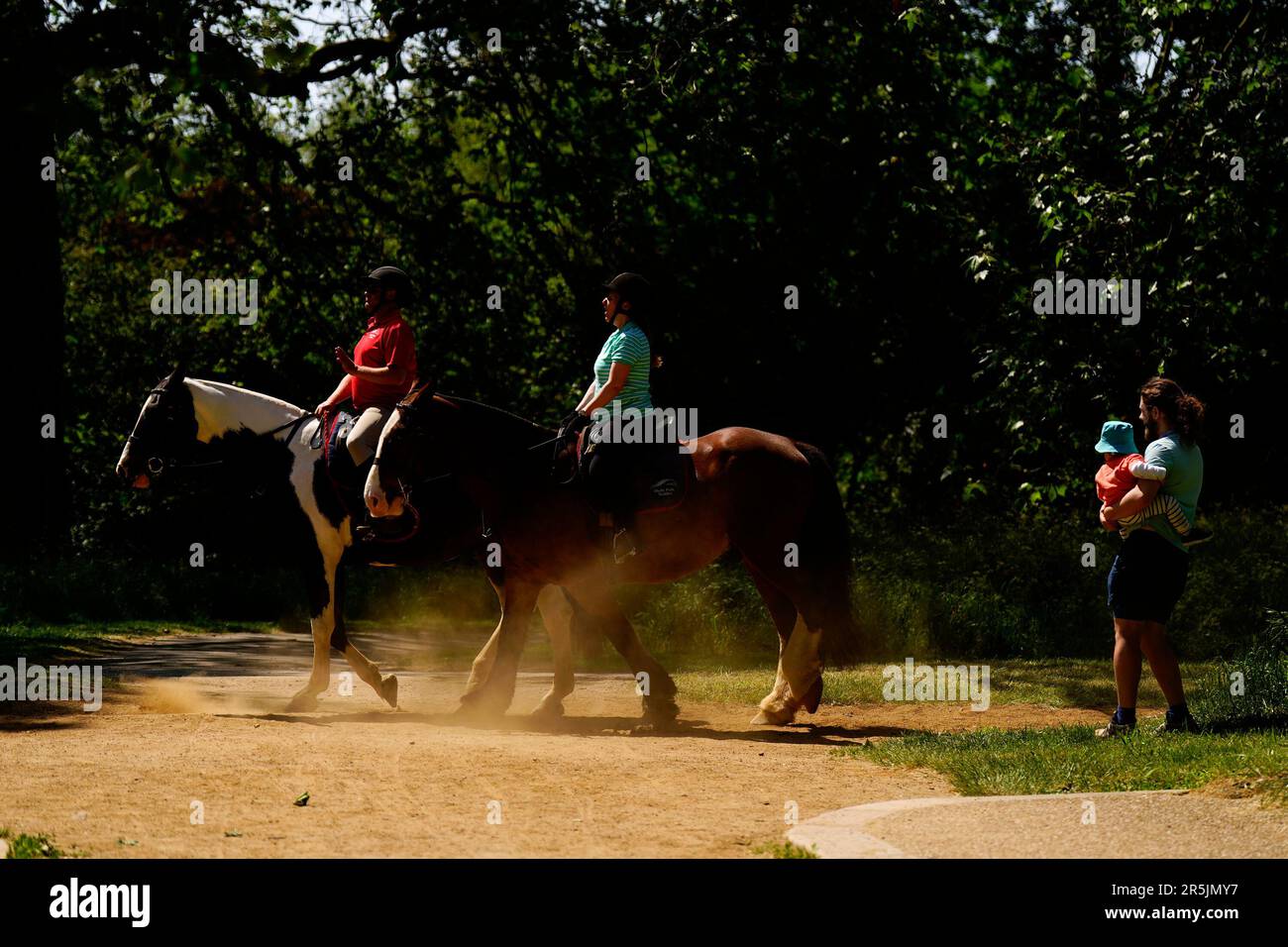 People out in the hot weather in Hyde Park, in London. The UK could ...