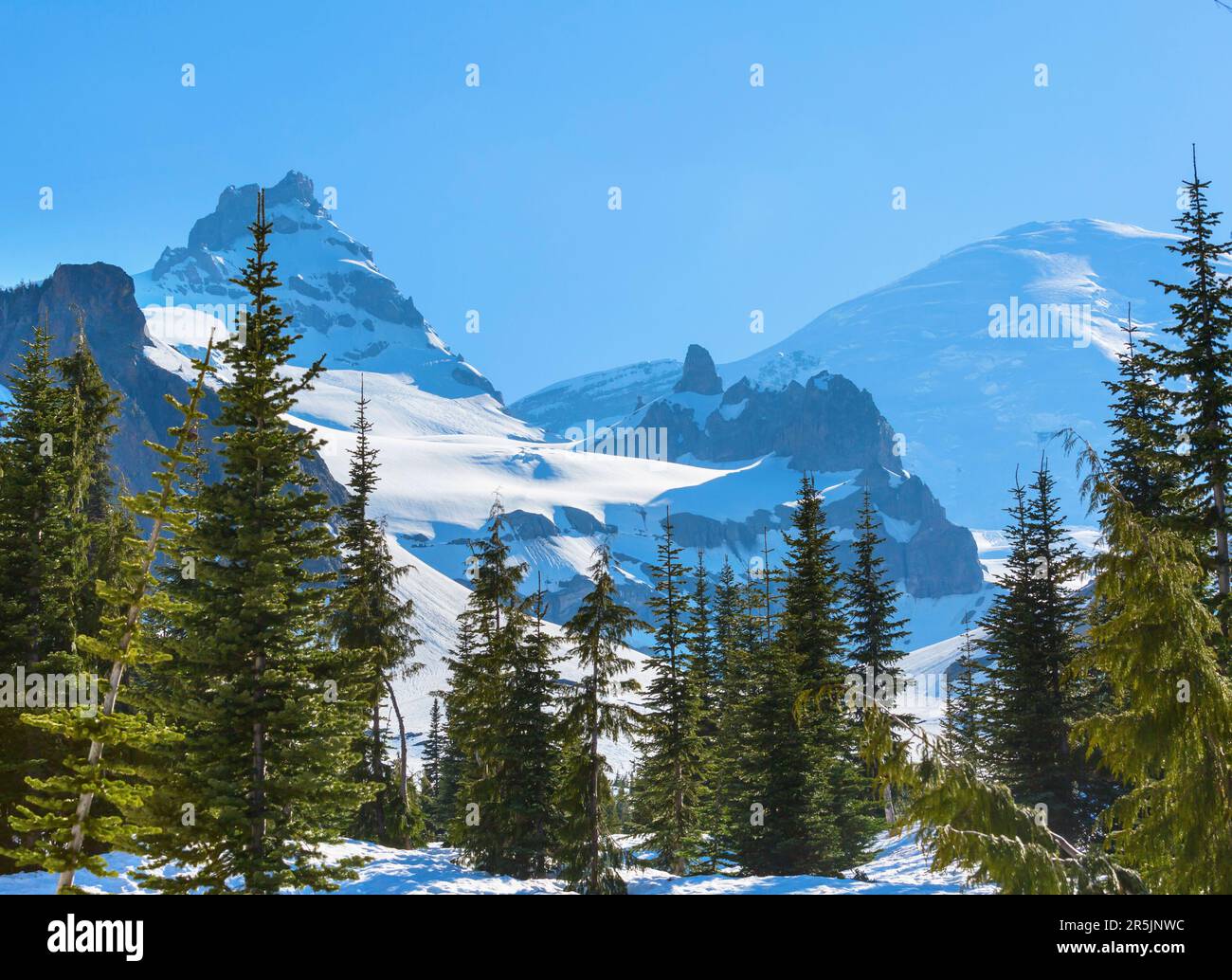Mount Rainier national park, Washington in the early summer Stock Photo ...