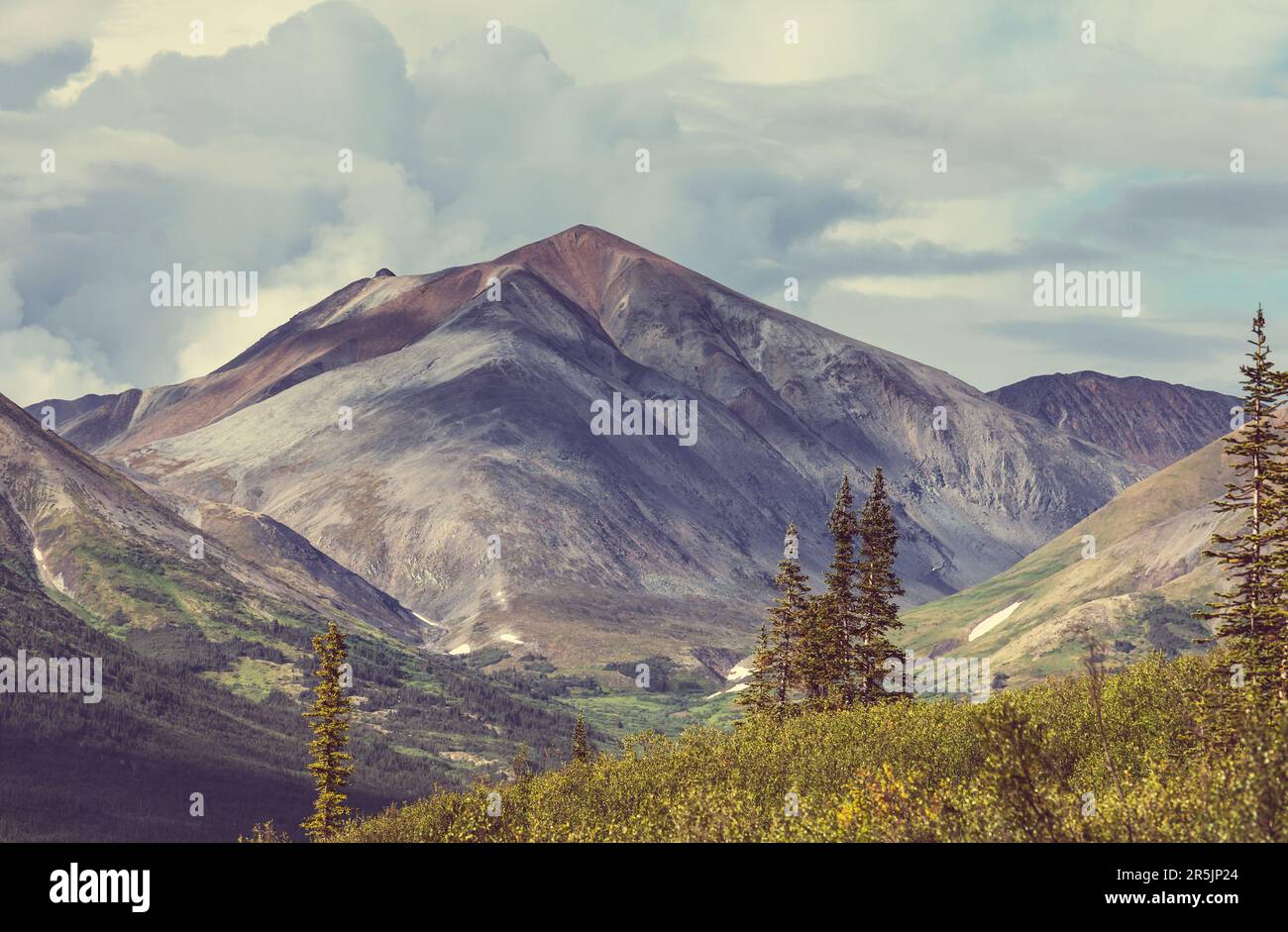 Tundra landscapes above Arctic circle Stock Photo - Alamy