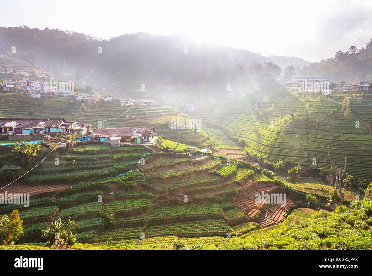 traditional village on Sri Lanka Stock Photo - Alamy