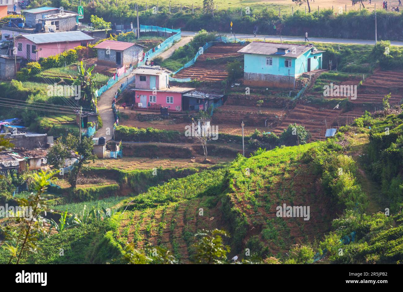 traditional village on Sri Lanka Stock Photo - Alamy