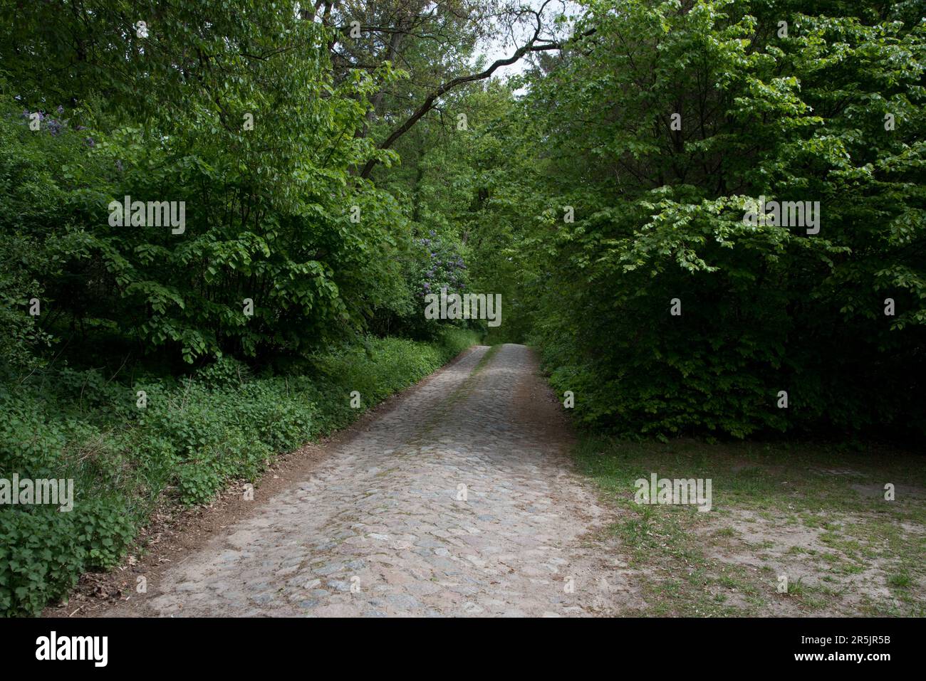 main road of tiny village Briesen with very few people living there in ...