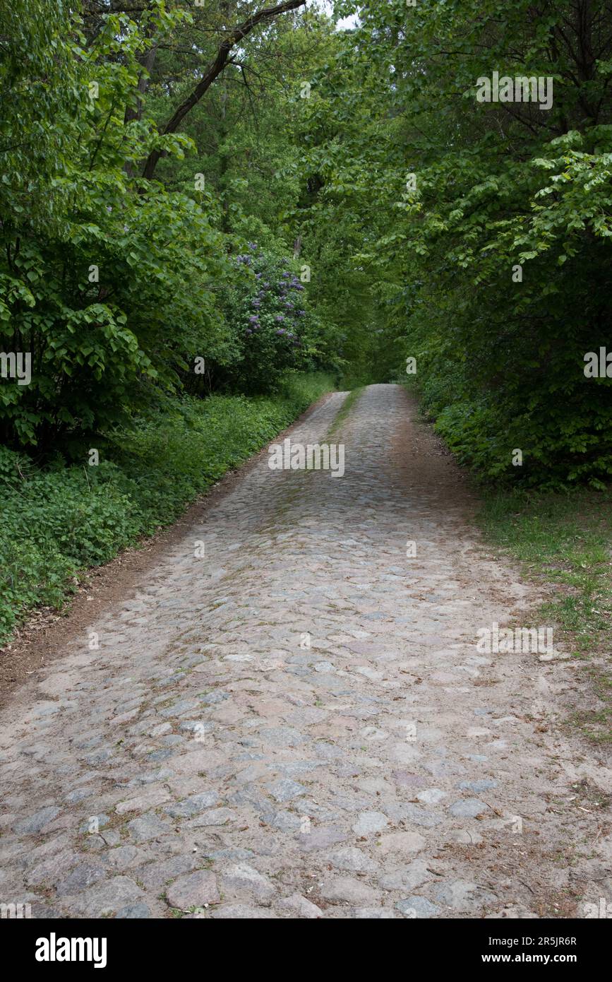 Gerswald hi-res stock photography and images - Alamy