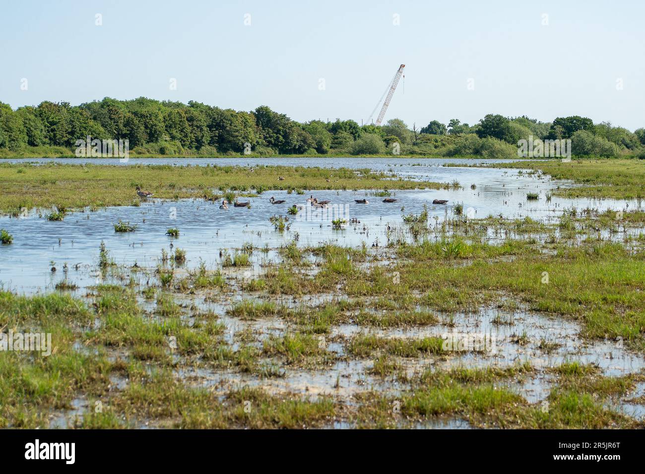 Dorney, Bucknghamshire, UK. 4th June, 2023. Flooding is getting much ...