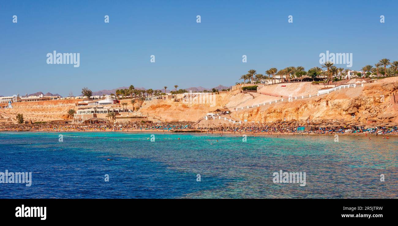 Sunny resort beach on the Red Sea in Sharm el Sheikh, Sinai, Egypt ...