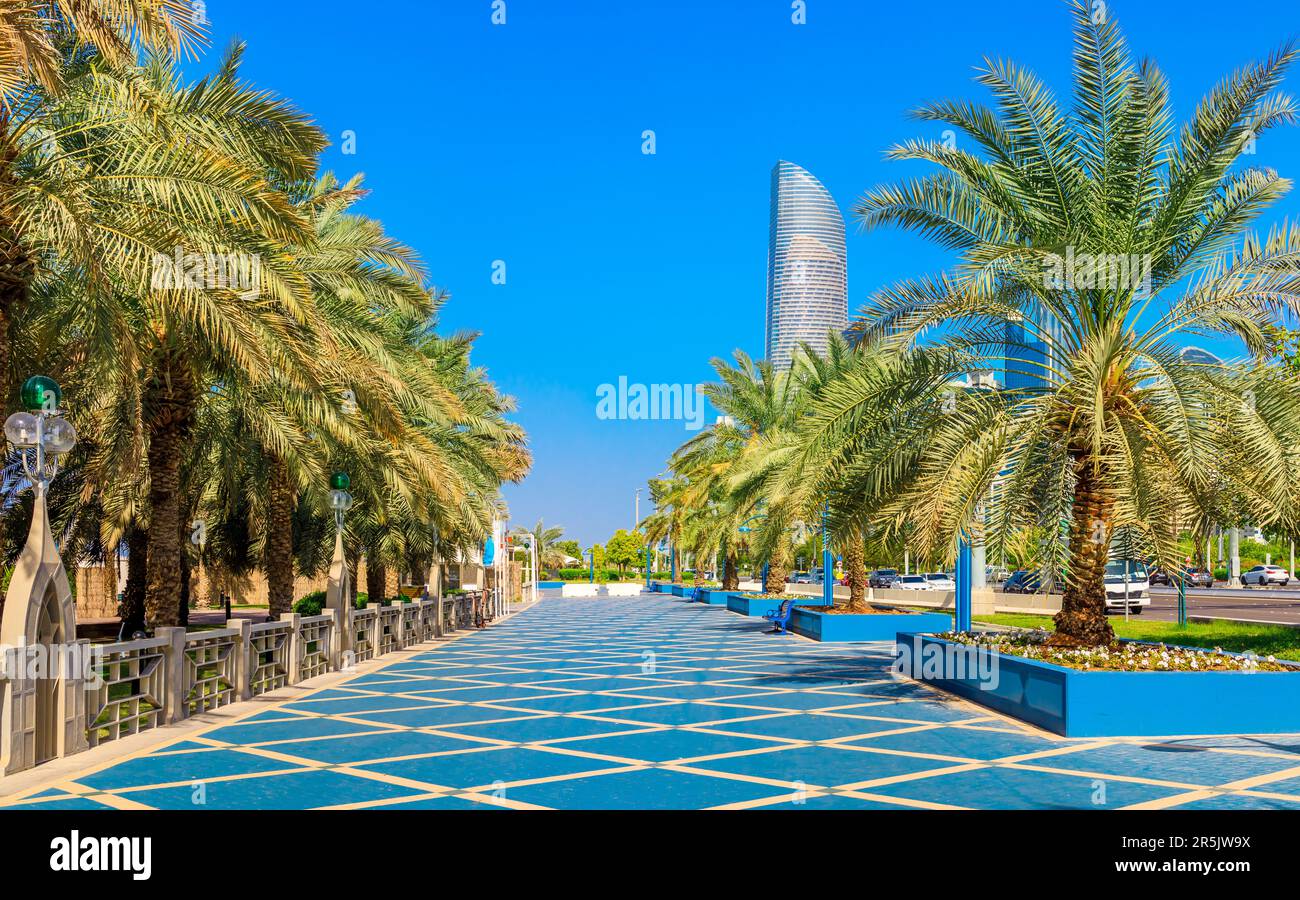 Abu Dhabi with palm trees and skyscrapers. Sunny summer in UAE Stock ...